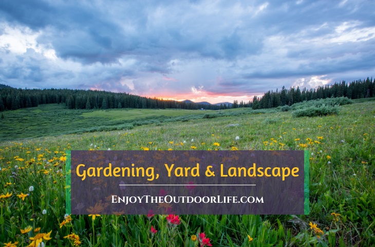 Gardening, Yard & Landscape - What You Need to Know