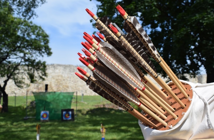 Best Bow Sights for Hunting, 🎯 Archery & Target Shooting [2021 Guide]